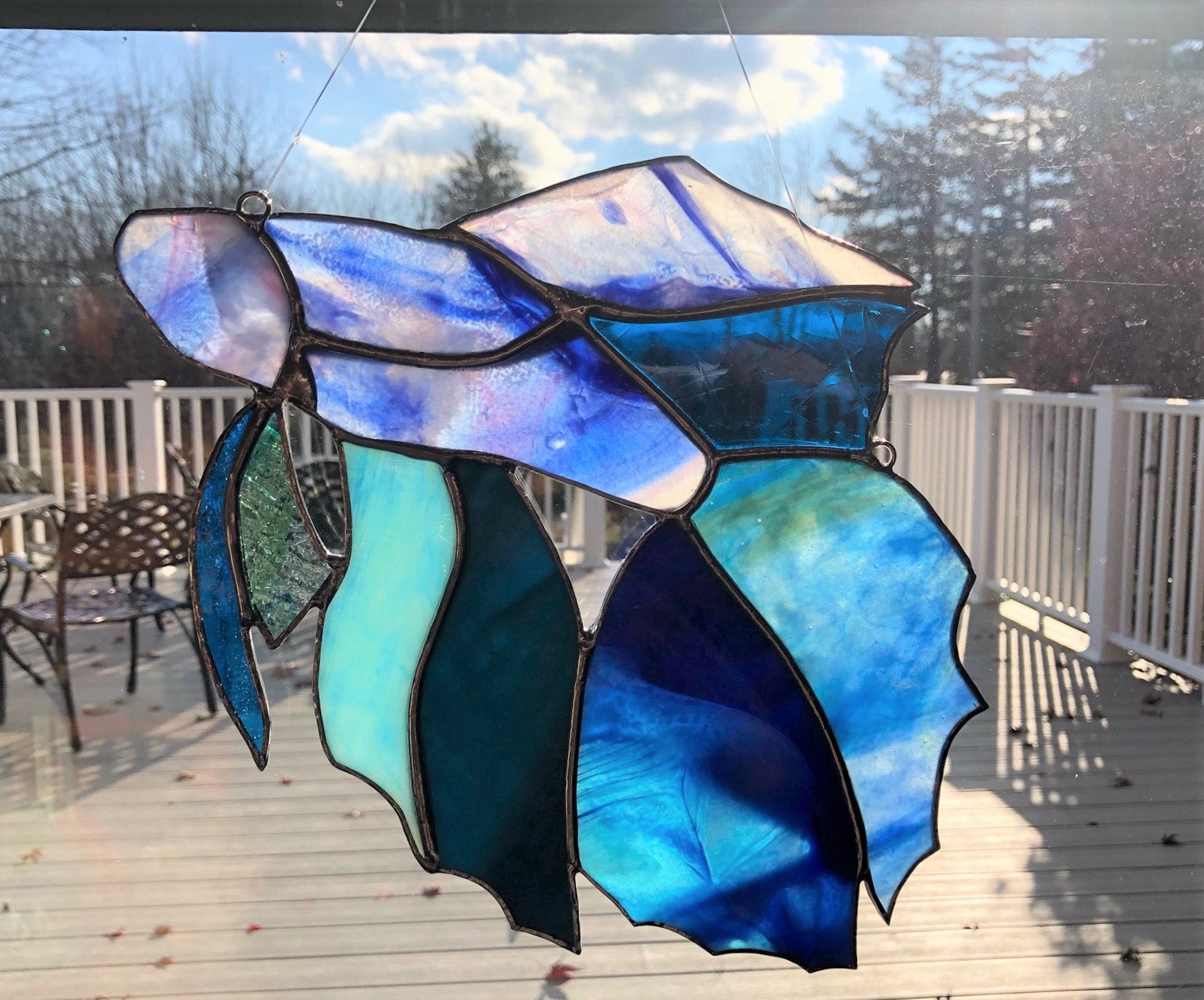 Stained Glass Hanging Beta Fish | Mainely Gallery