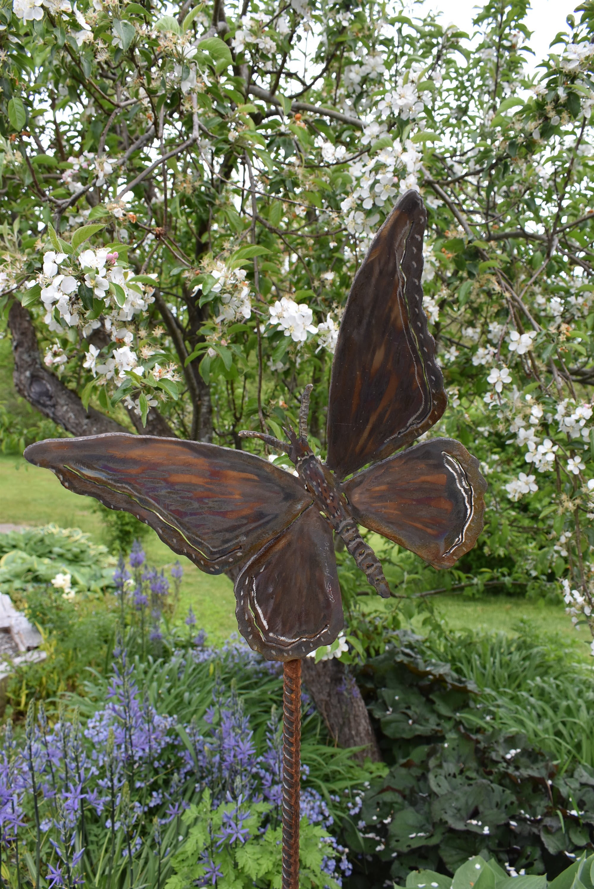 Butterfly on Rebar | Mainely Gallery