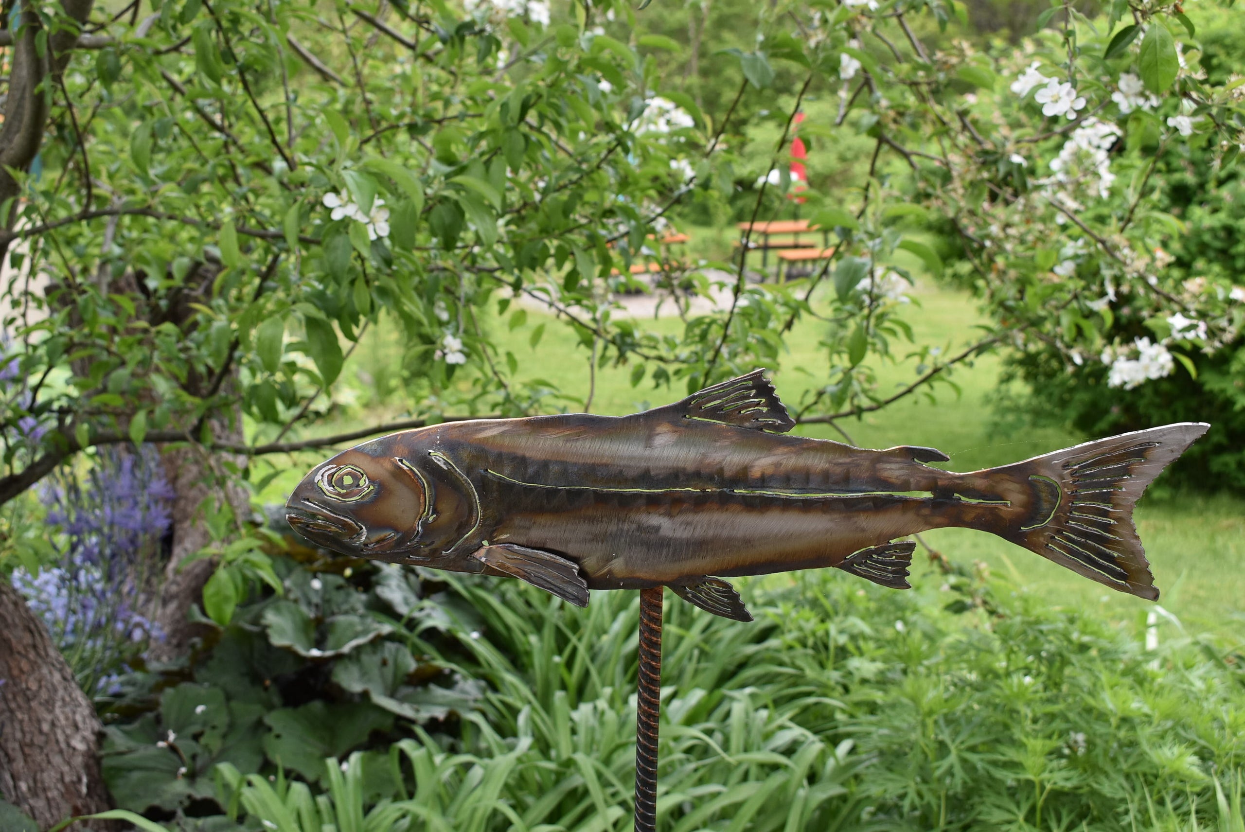 Fish on Rebar | Mainely Gallery